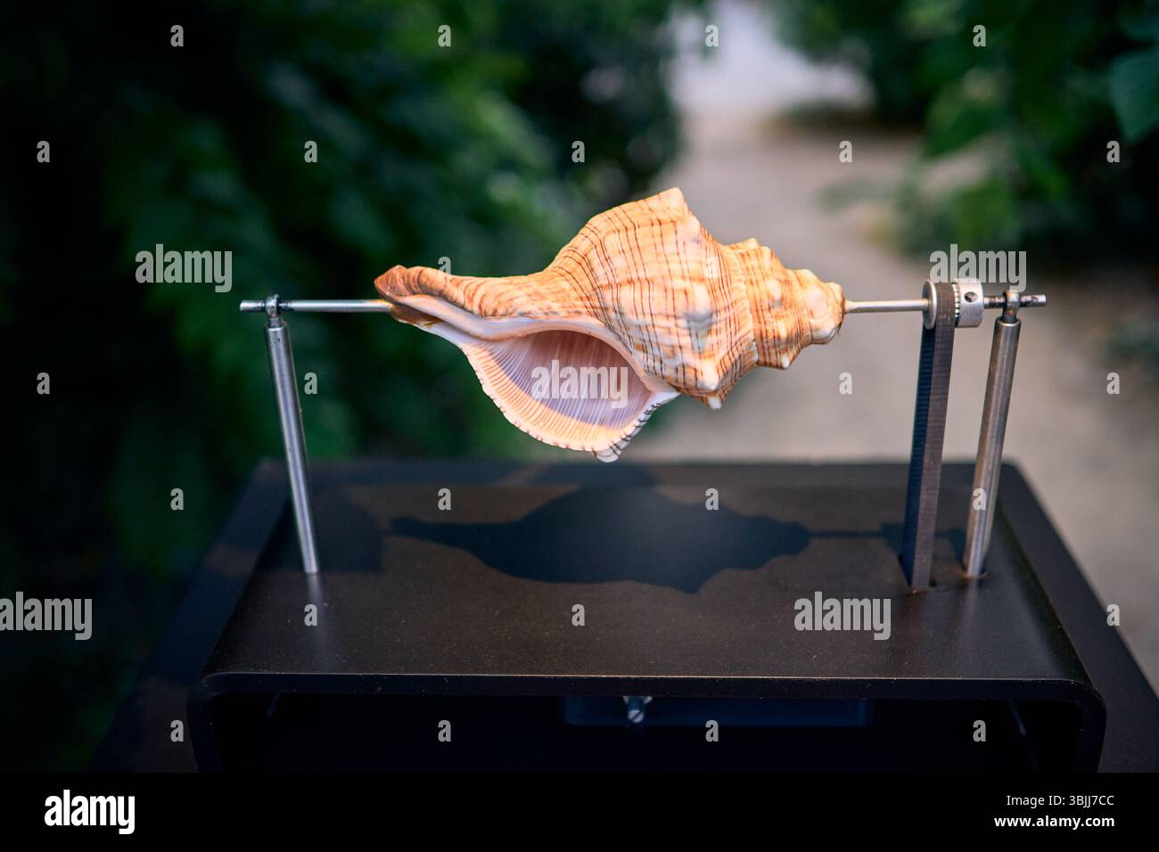 Plasmata 3 - Onassis Stegi, Pedion tou Areos, Athens, Greece Stock ...