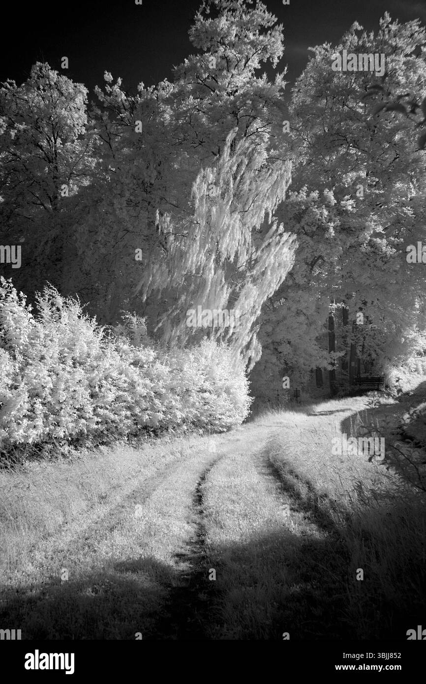RECORD DATE NOT STATED infrared image of the castle of Neidenstein at ...