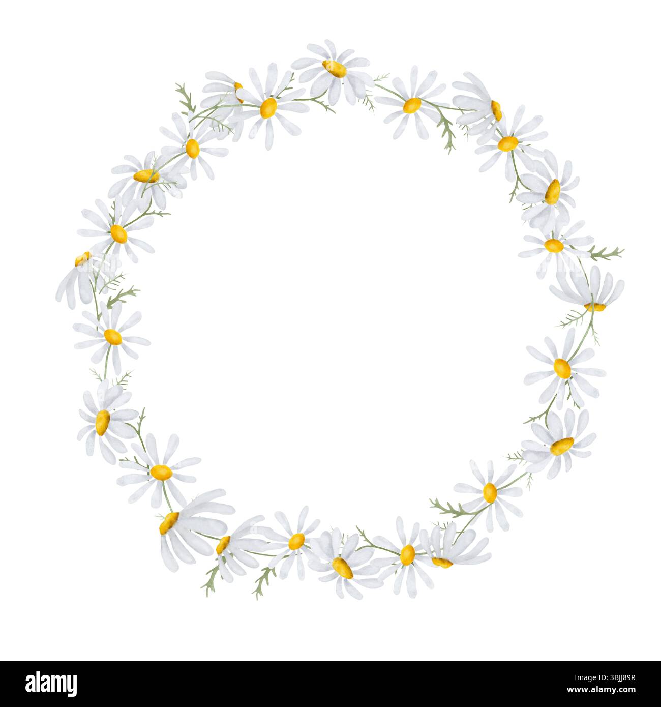 Dandelion watercolor Cut Out Stock Images & Pictures - Alamy