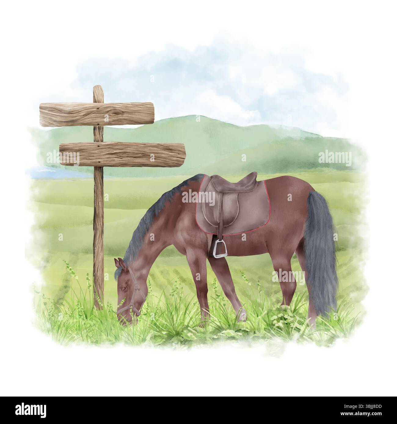 A green field nature Cut Out Stock Images & Pictures - Alamy