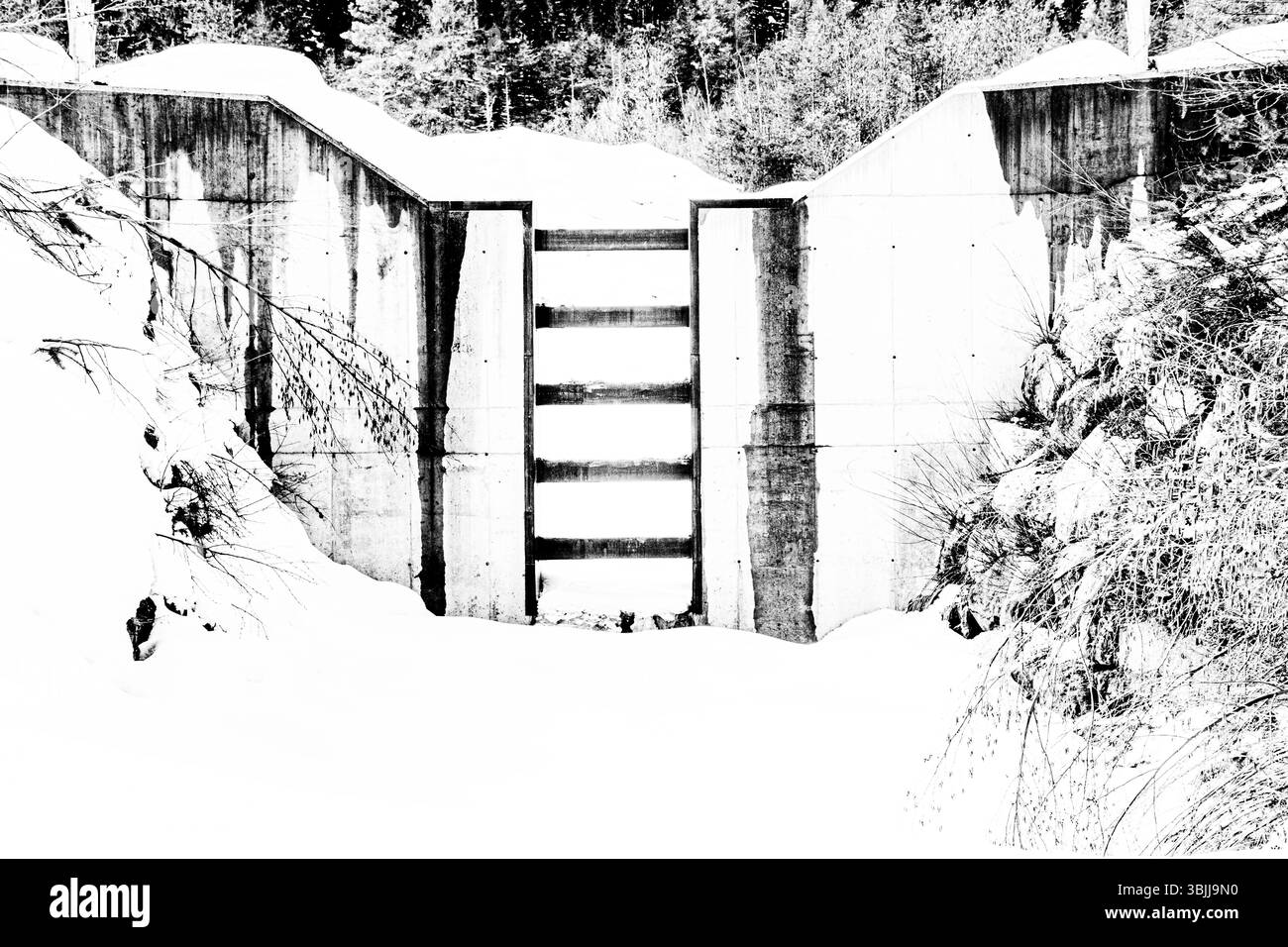 Forest stream flowing on Black and White Stock Photos & Images - Alamy