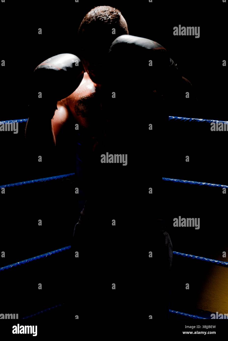 A male boxer stands in a boxing ring, his body glistening with sweat ...