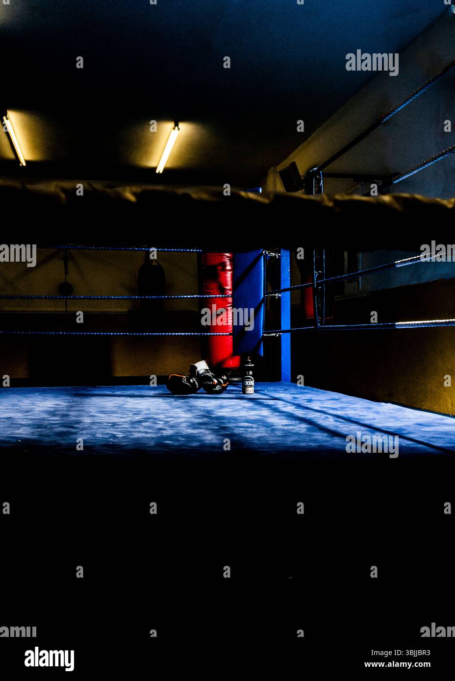 A boxing ring sits in a dimly lit room, illuminated by overhead ...