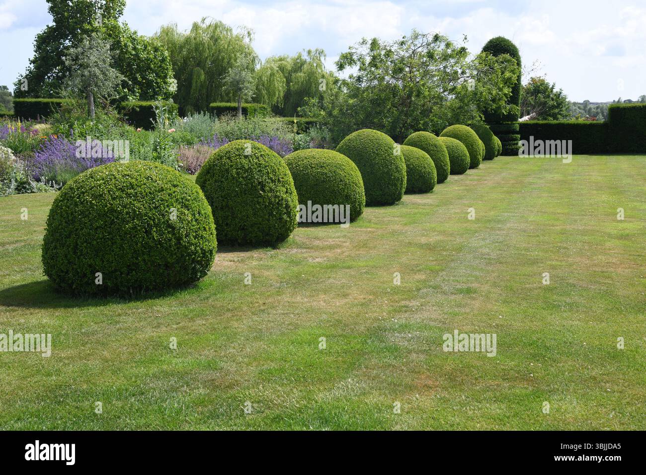 Straight hedges hi-res stock photography and images - Alamy