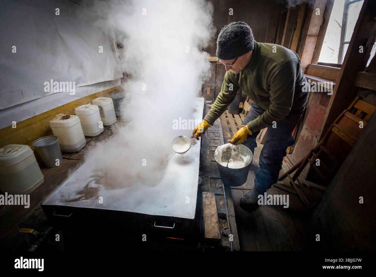 Family Tradition Maple Syrup Harvest Stock Photo - Alamy