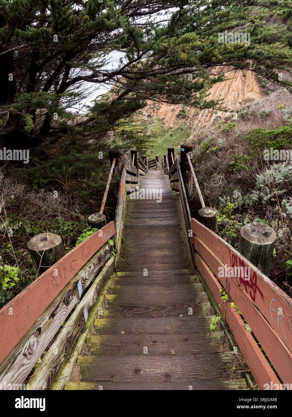Wooden cliff steps hi-res stock photography and images - Alamy