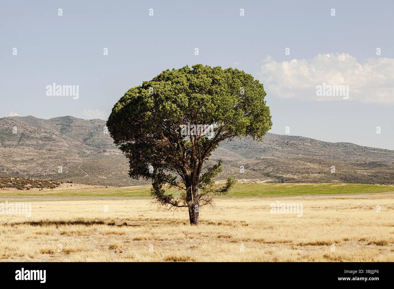 Lone mountain ranch hi-res stock photography and images - Alamy