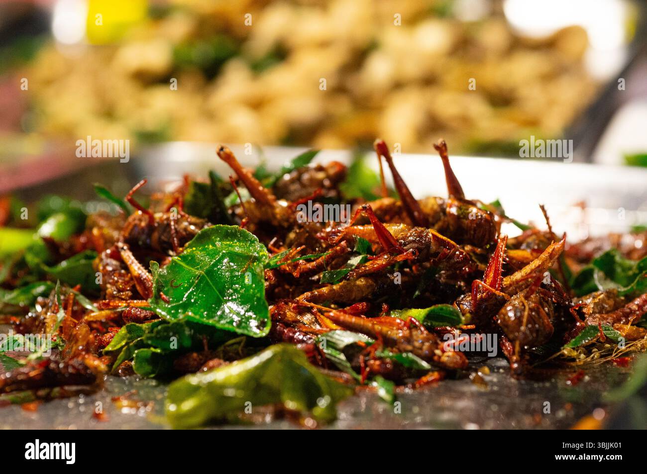 Fried grasshoppers with herbs at a Thai street food stall Stock Photo ...