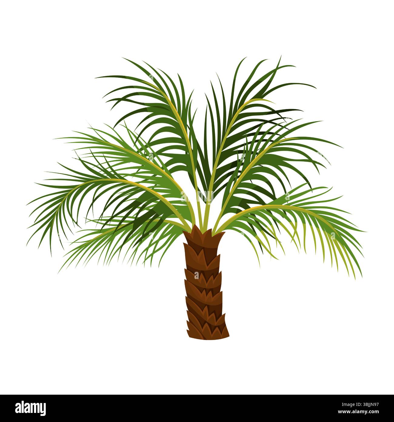 Palm phoenix garden Stock Vector Images - Alamy