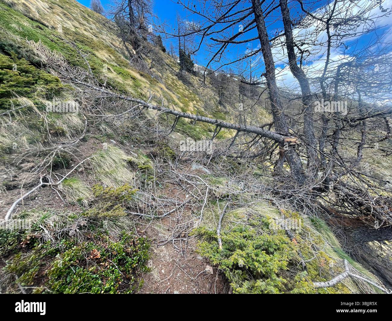 aerial view of Italian Alps, snow-capped ridges in the background, blue sky and white clouds ...