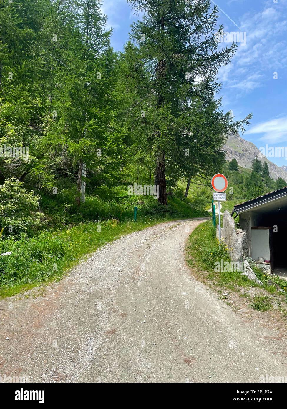 Walking path among nature hi-res stock photography and images - Alamy