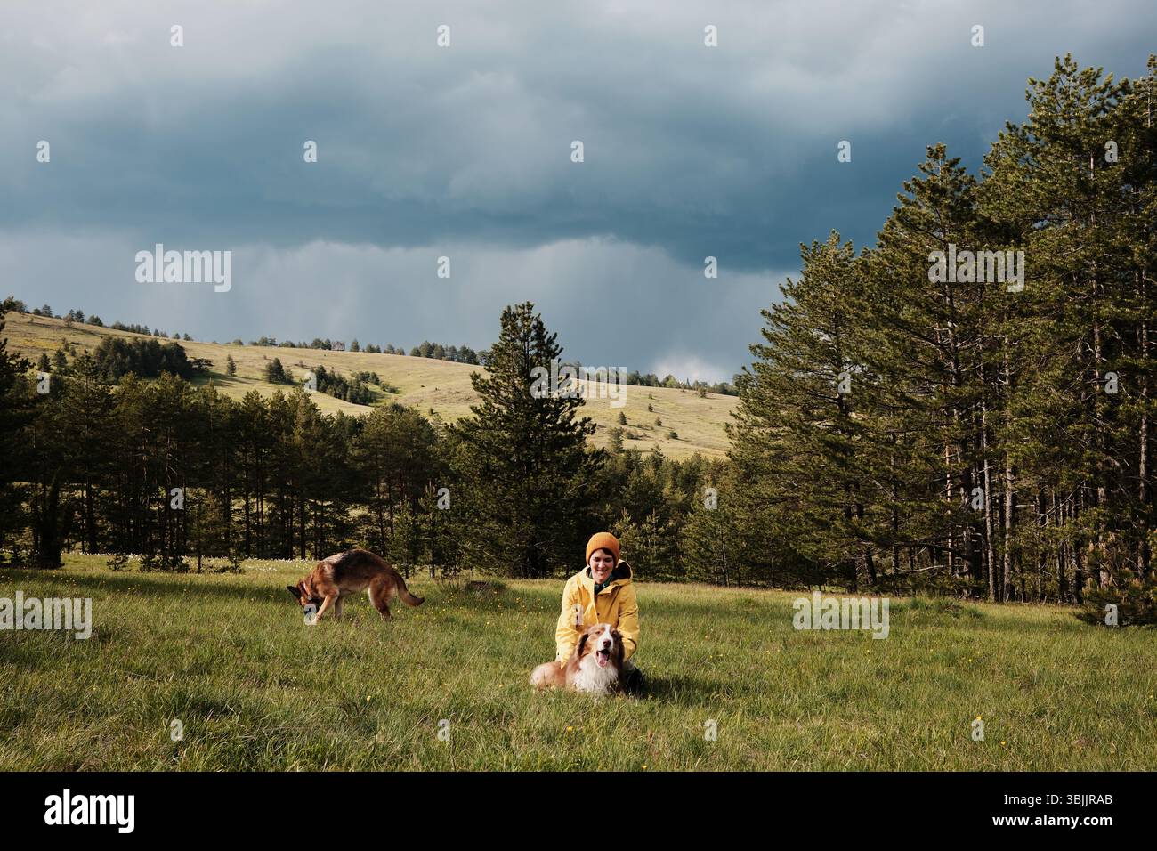 A woman in a yellow raincoat hugs Australian shepherd in a lush green ...
