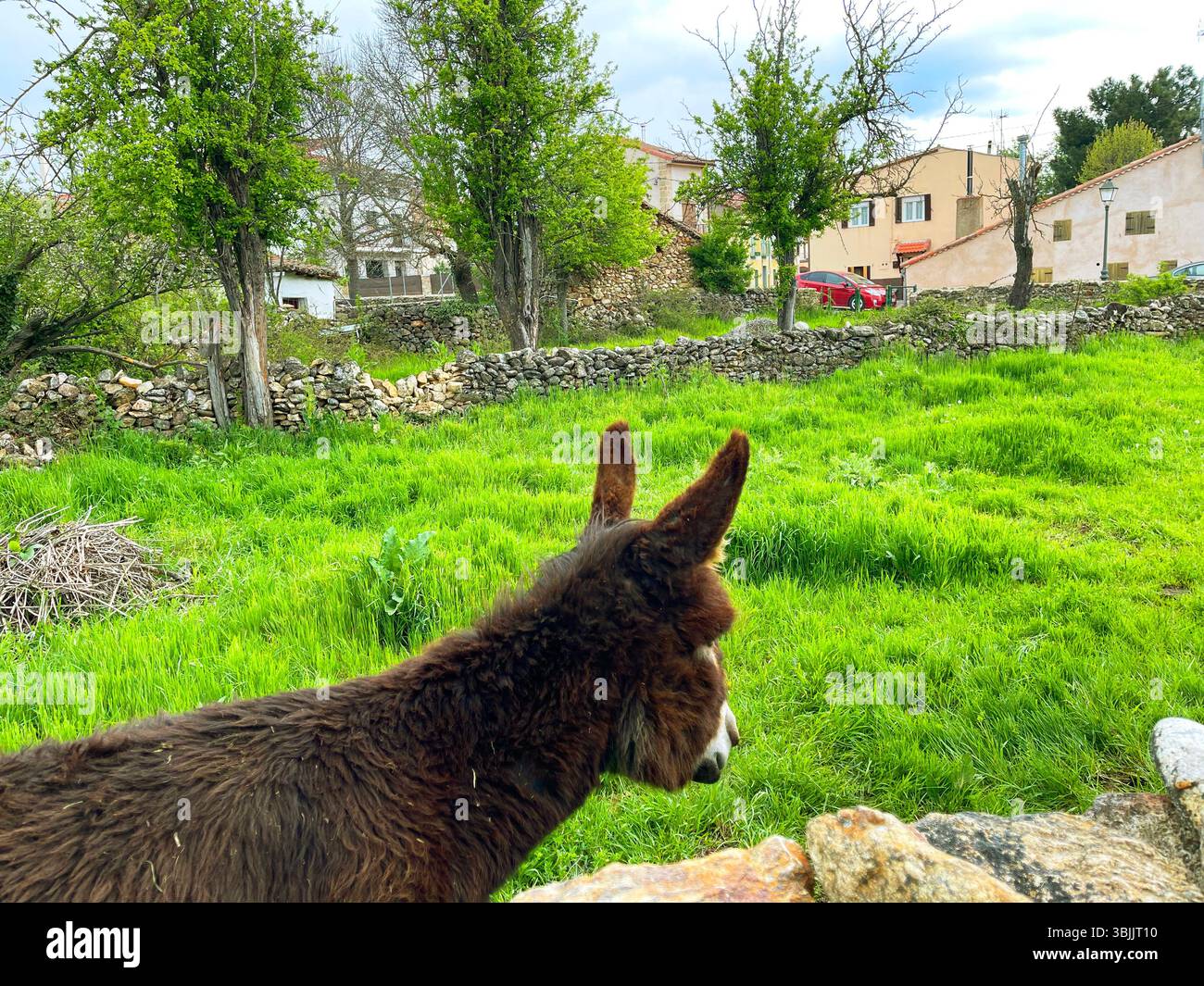 Donkey and village. Pinilla del valle, Madrid province, Spain Stock ...
