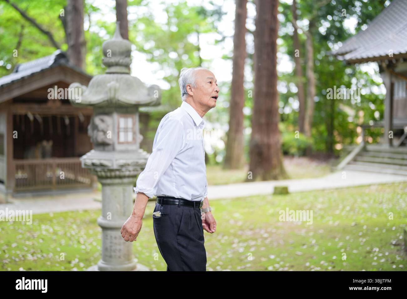 In rural Japan, a Japanese man in his late 70s visits a countryside ...