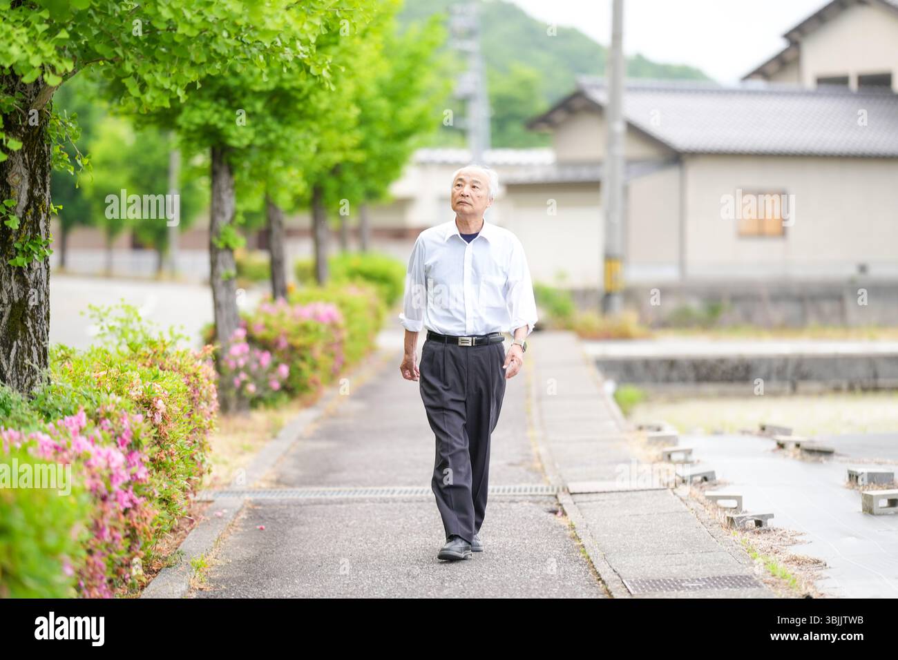 In rural Japan, a Japanese man in his late 70s walks along a farm road ...