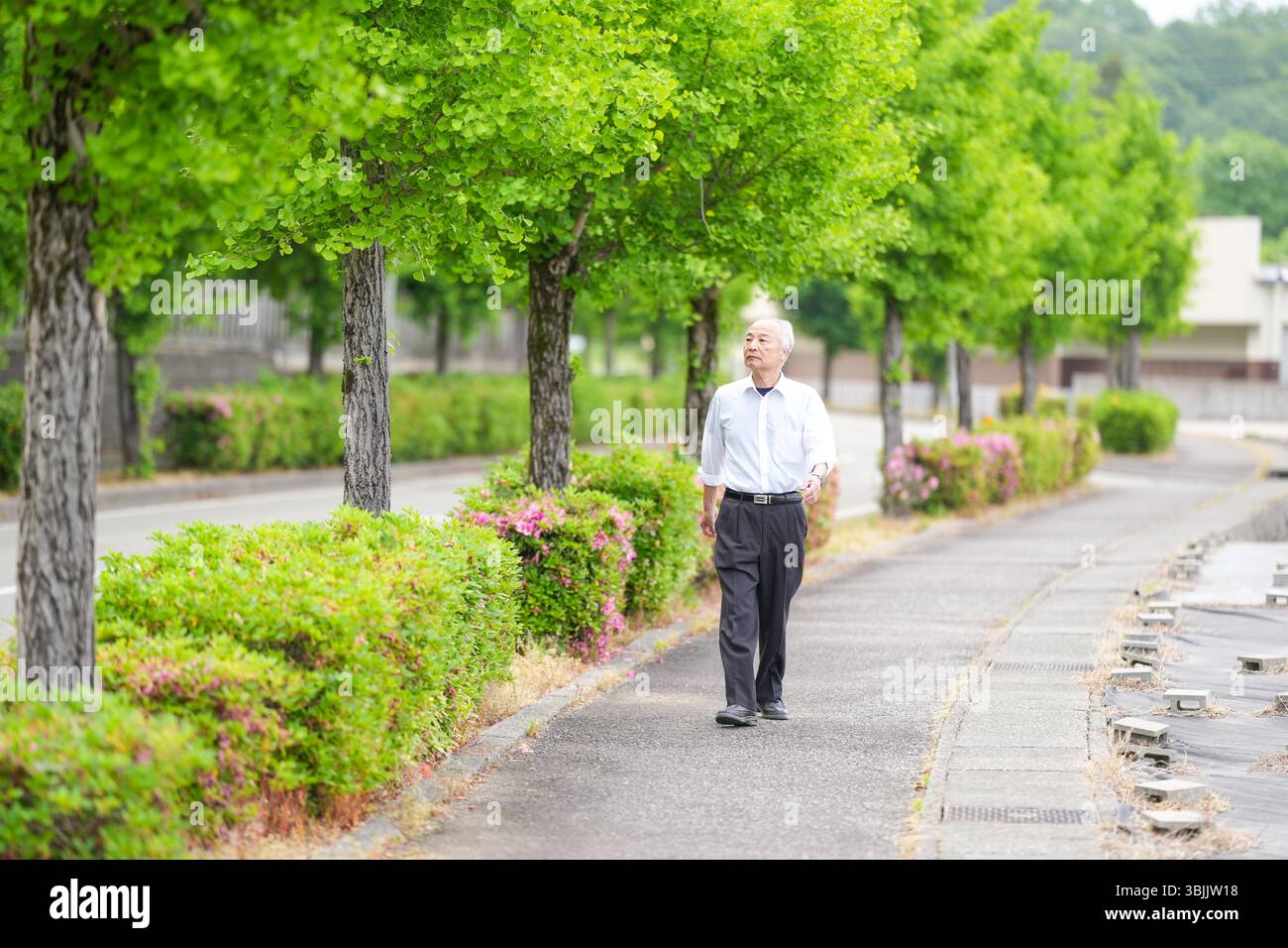In rural Japan, a Japanese man in his late 70s walks along a farm road ...