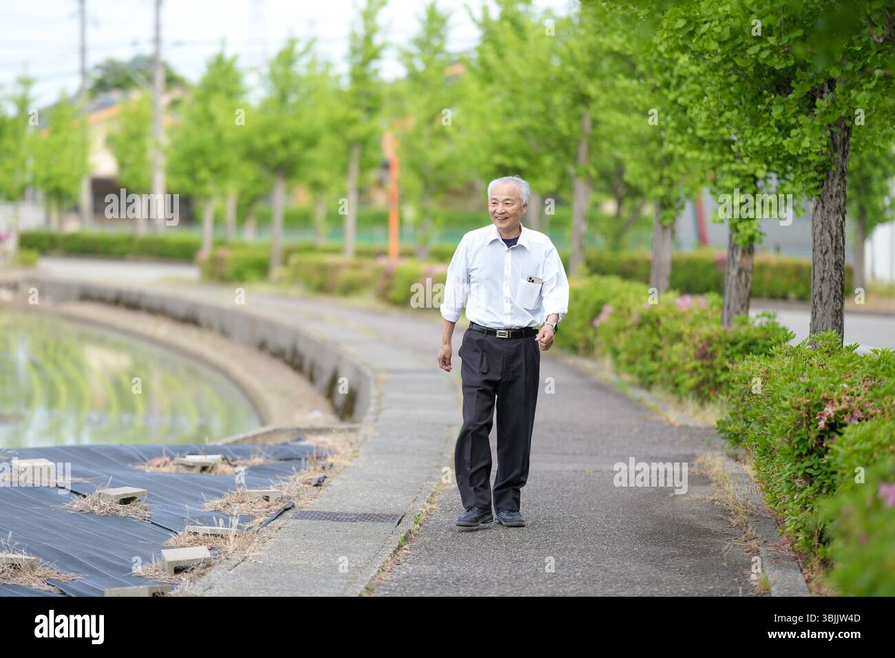In rural Japan, a Japanese man in his late 70s walks along a farm road ...