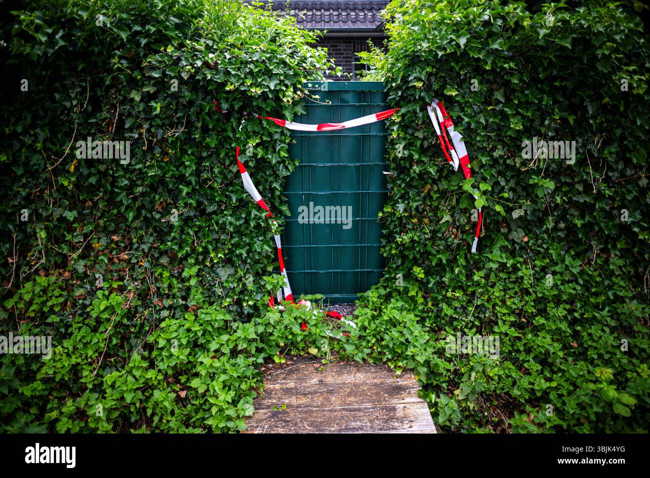Vechta, Germany. 16th June, 2025. The meadows around a rainwater ...