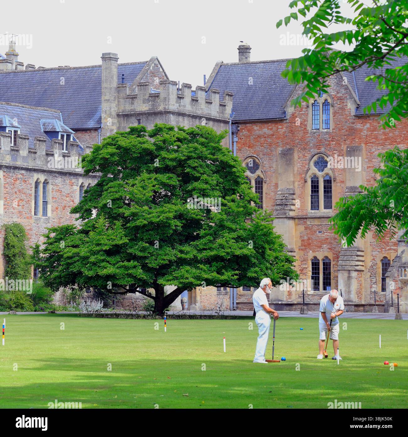 Members of The Palace Croquet Club playing a game on the lawns of the ...