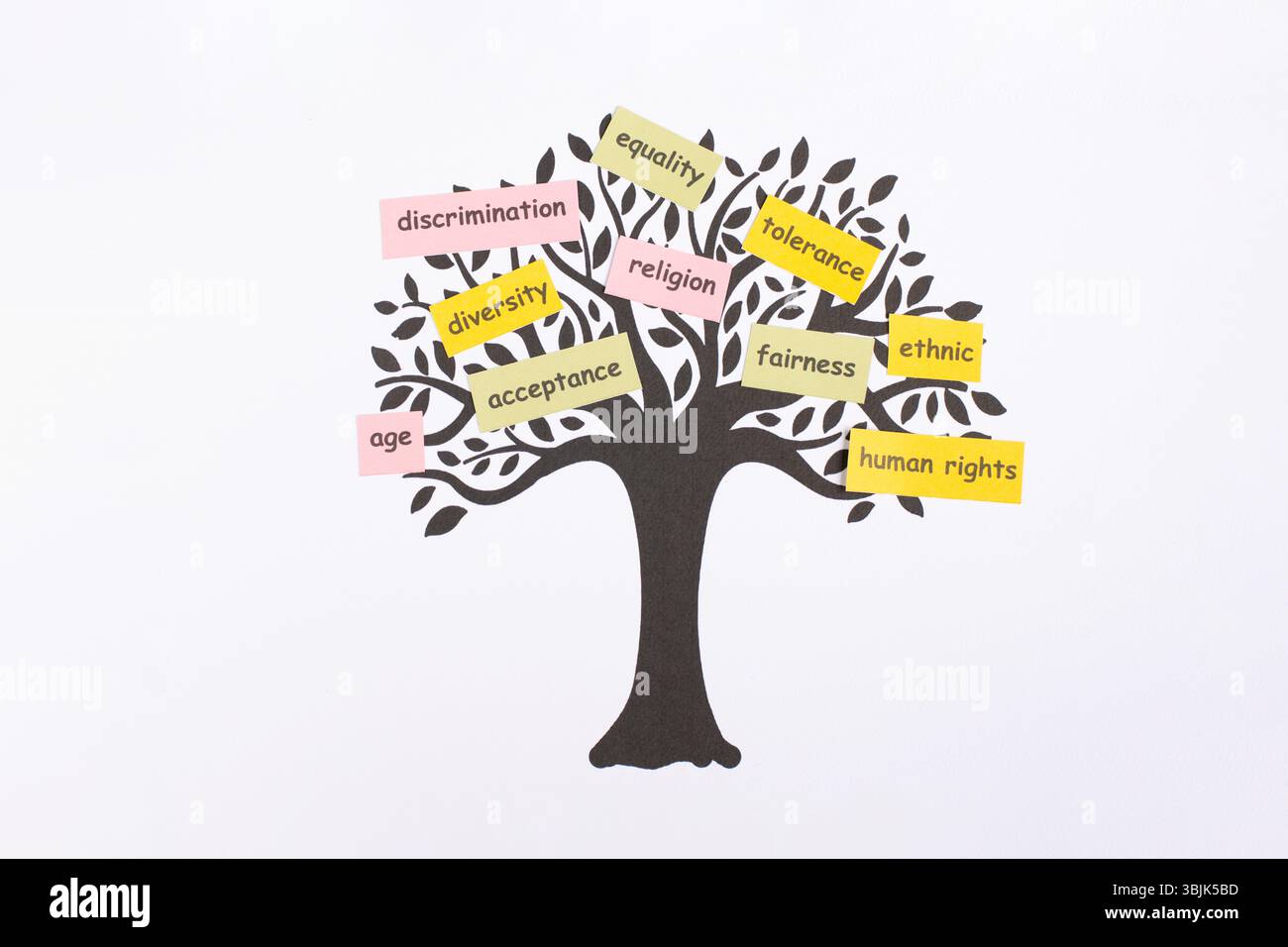 Human Rights, Tolerance, Equality , Ethnic And Diversity Concept ...