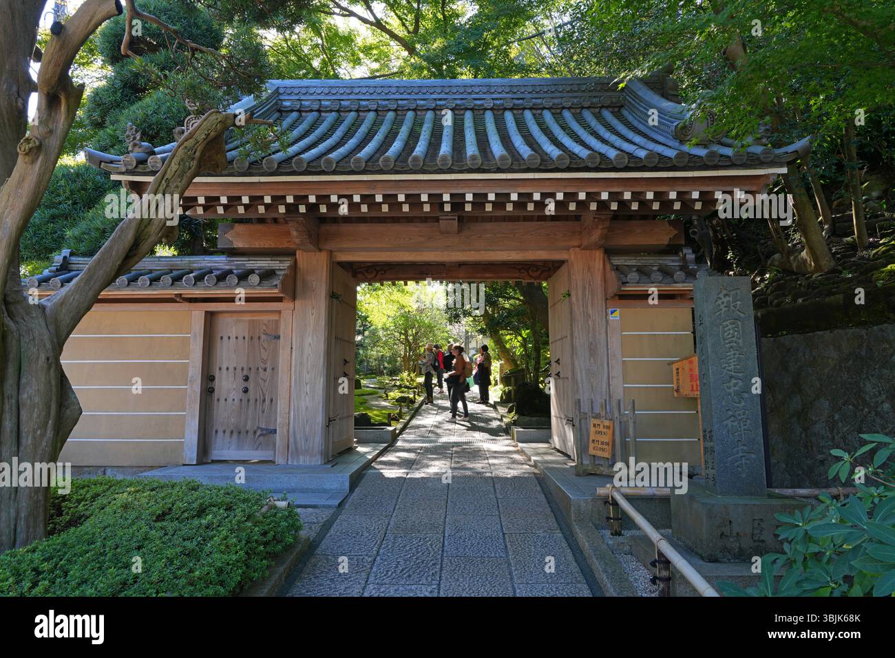 KAMAKURA, JAPAN -4 NOV 2024- View of the Hokokuji Temple in Kamakura, a ...