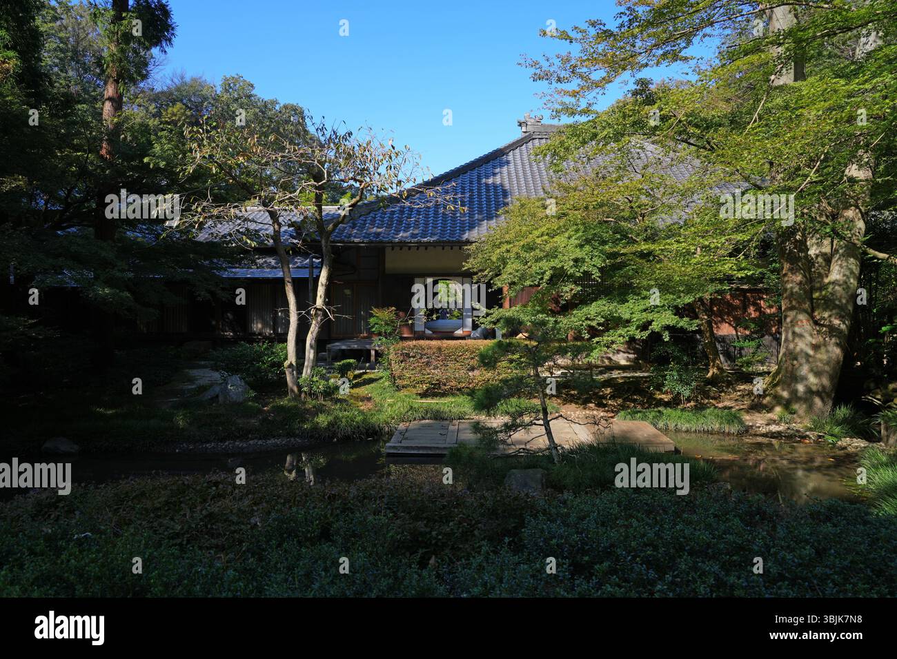 KAMAKURA, JAPAN -4 NOV 2024- View of the Fugenzan Meigetsu-In Temple in Kamakura, a tourist ...