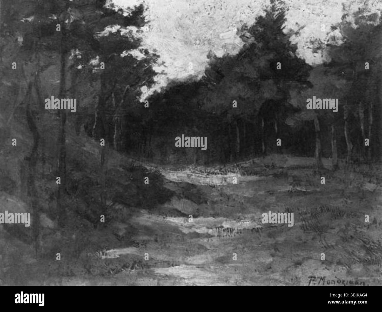 'Wood near Driebergen' (1896-1897) is an oil painting depicting a ...