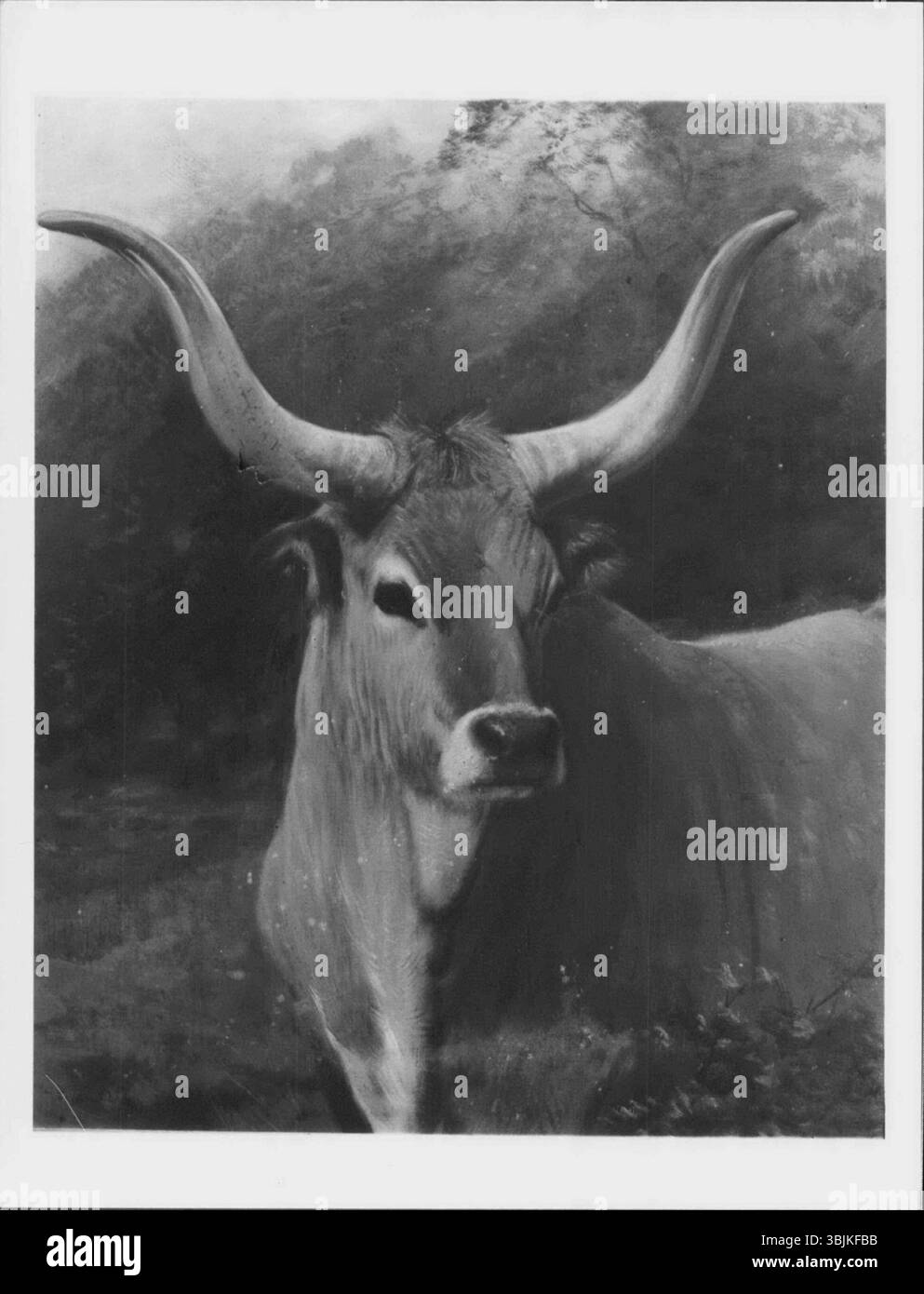 Charles Burton Barber’s 1881 painting 'A Spanish Ox' showcases the ...