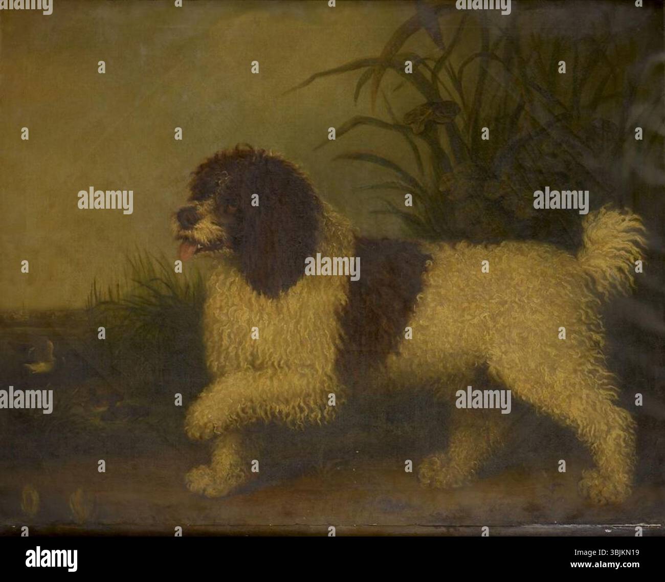 Henry Bernard Chalon’s 1812 painting 'A Spaniel' captures a detailed ...