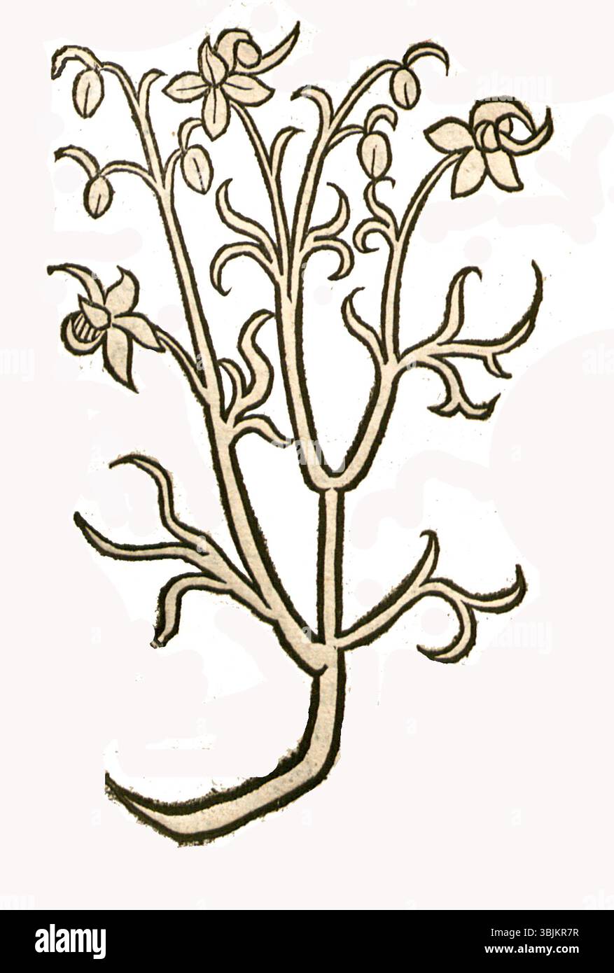 In medieval times Cut Out Stock Images & Pictures - Alamy