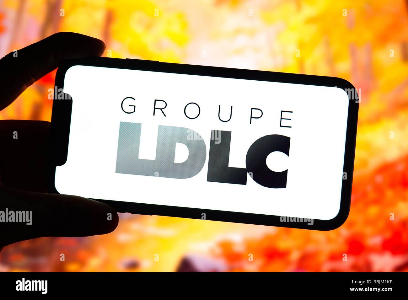In this photo illustration, the logo of Groupe LDLC is displayed on the ...