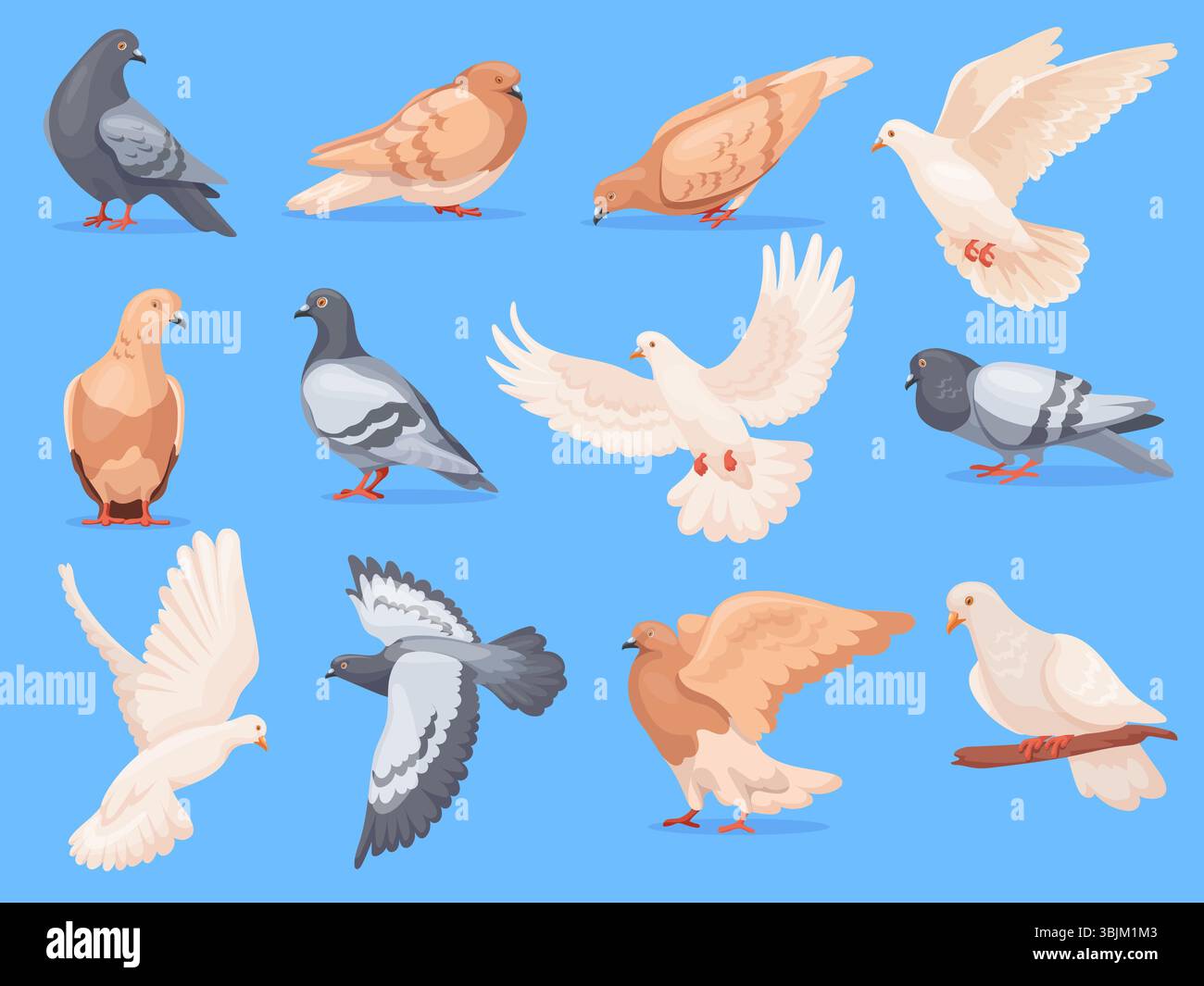 Partridge dove Stock Vector Images - Alamy