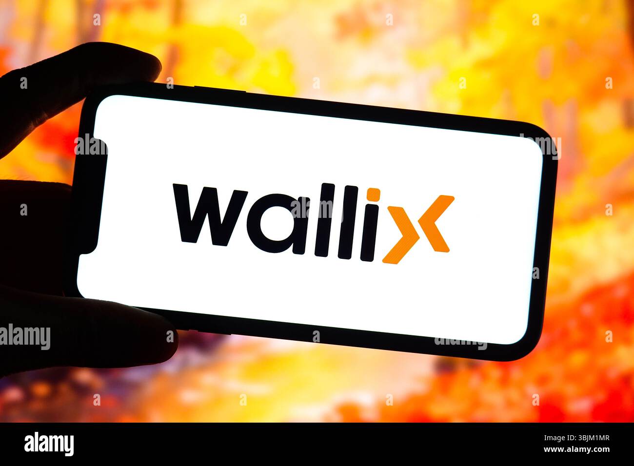 In this photo illustration, the logo of Wallix is displayed on the ...