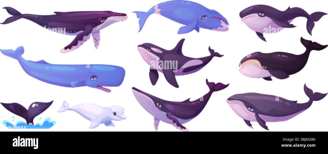 Cartoon whales. Blue whale, humpback beluga killer bowhead orca ...