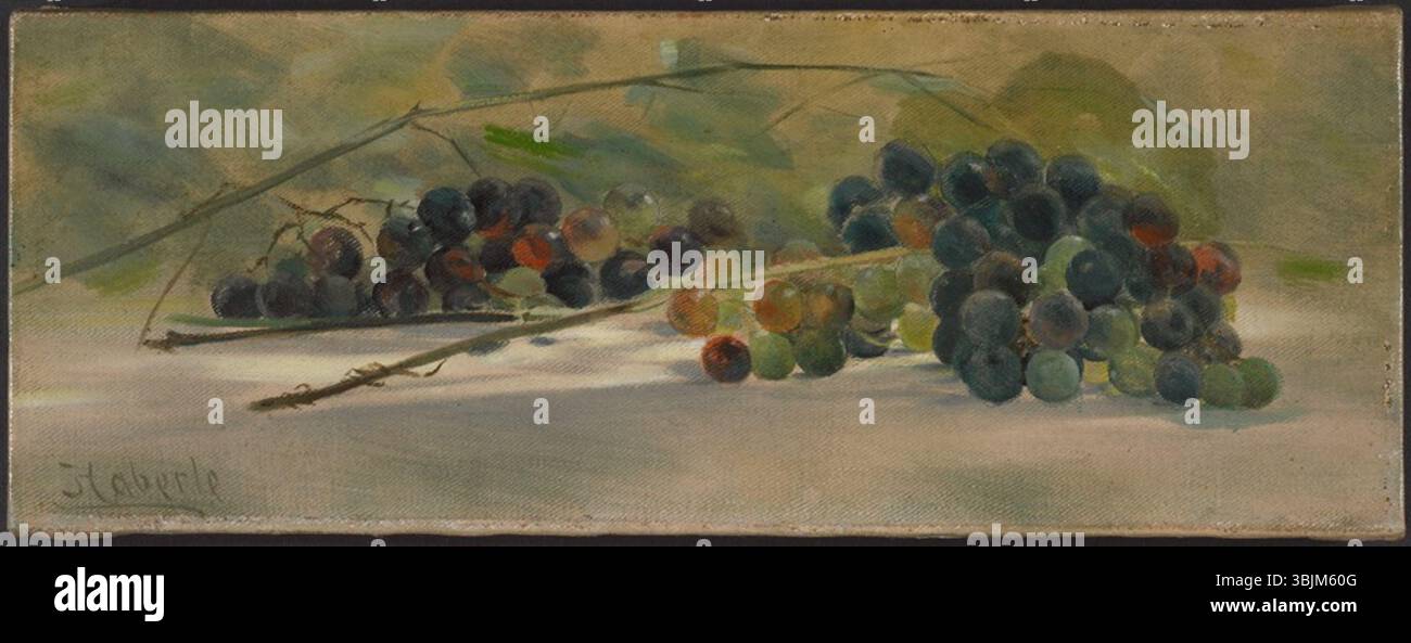 'Grapes on a Ledge' by John Haberle (1856–1933) is an oil painting ...