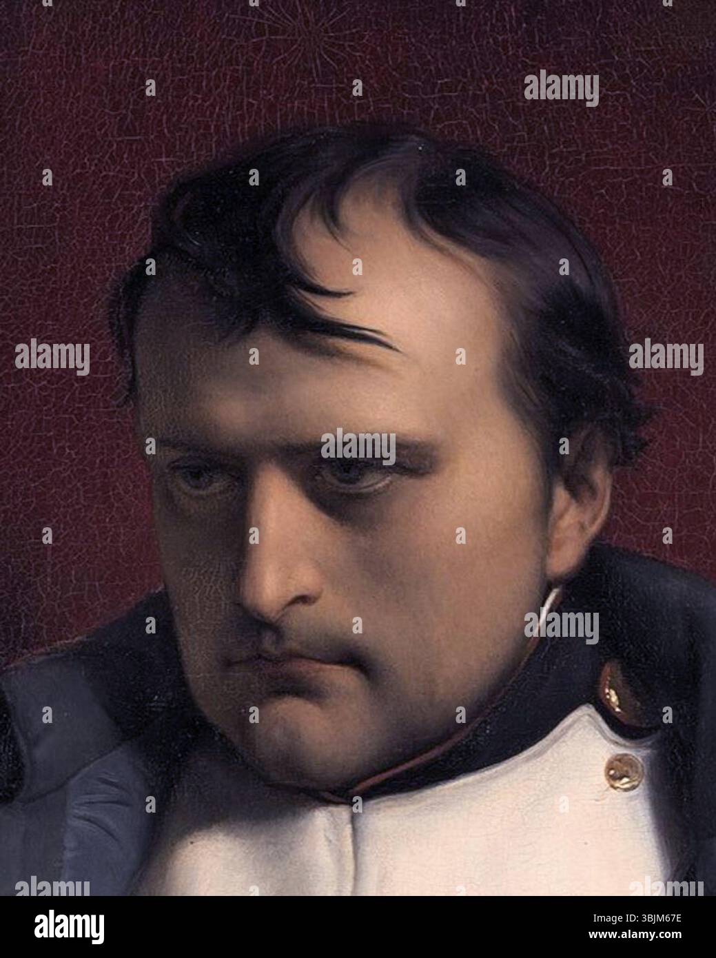 Downfall of napoleon hi-res stock photography and images - Alamy