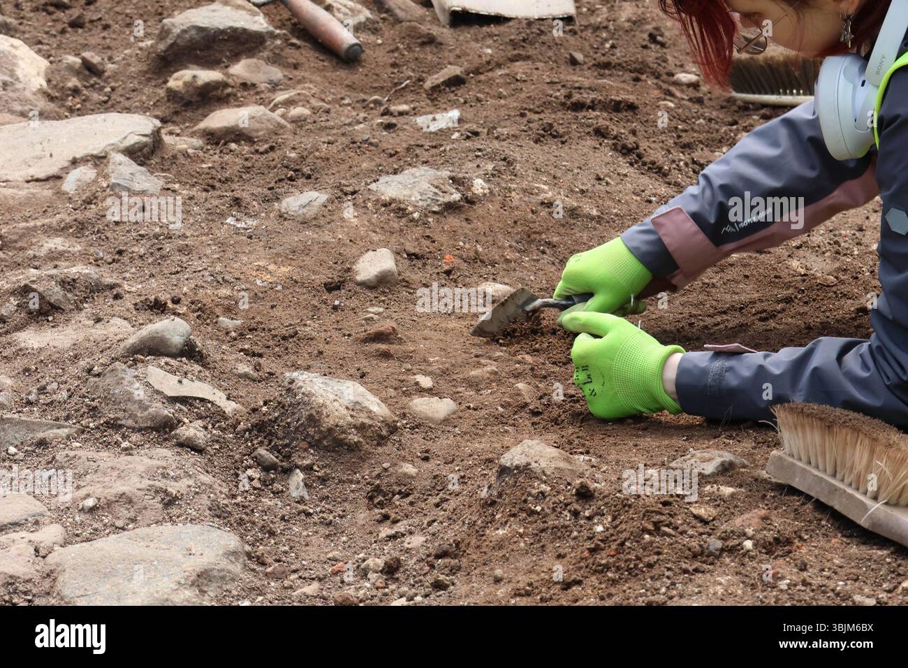 Moira Demesne, Moira, County Down, Northern Ireland, UK. 16 June 2025 ...