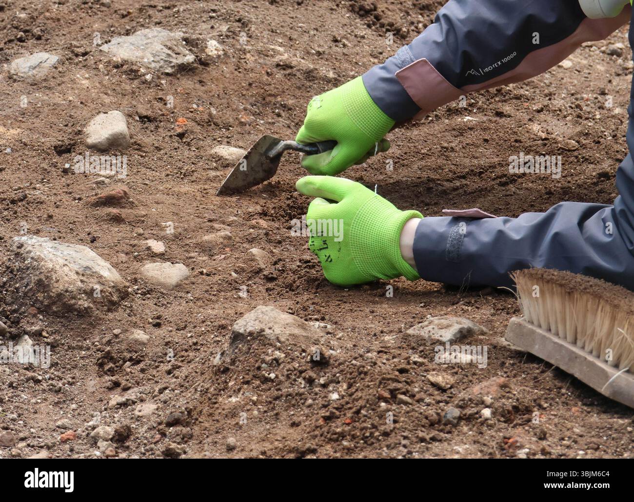 Moira Demesne, Moira, County Down, Northern Ireland, UK. 16 June 2025 ...