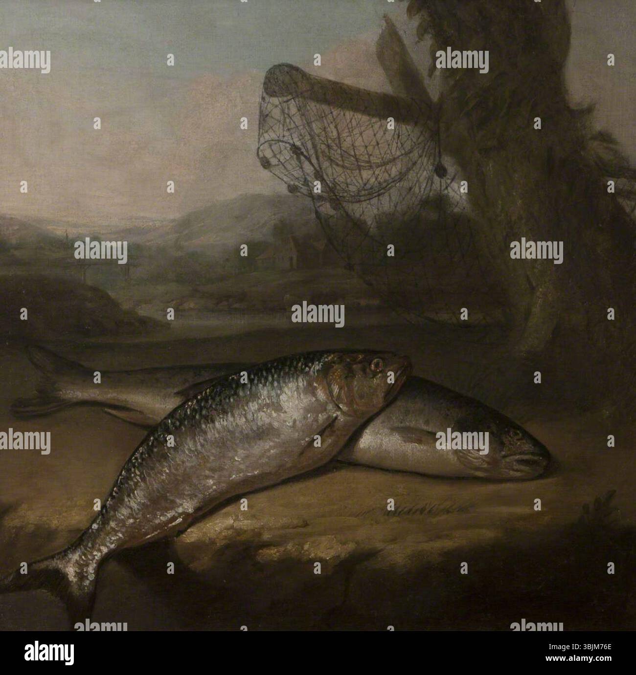 Devis, Arthur; Atlantic Salmon and Allis Shad, by the River Wye ...