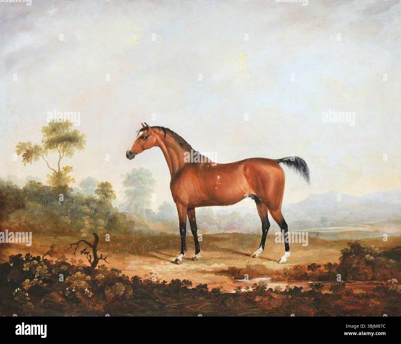 Nairn, George; Lord Anglesey's Horse 'Cossack'; National Trust, Plas ...