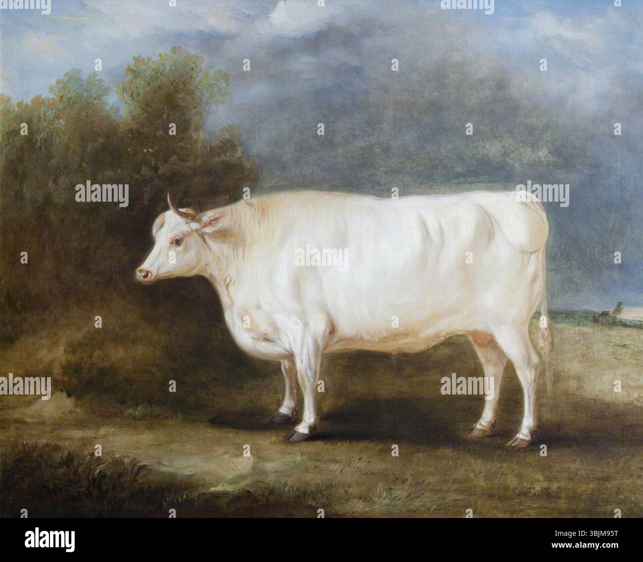 176300 hi-res stock photography and images - Alamy