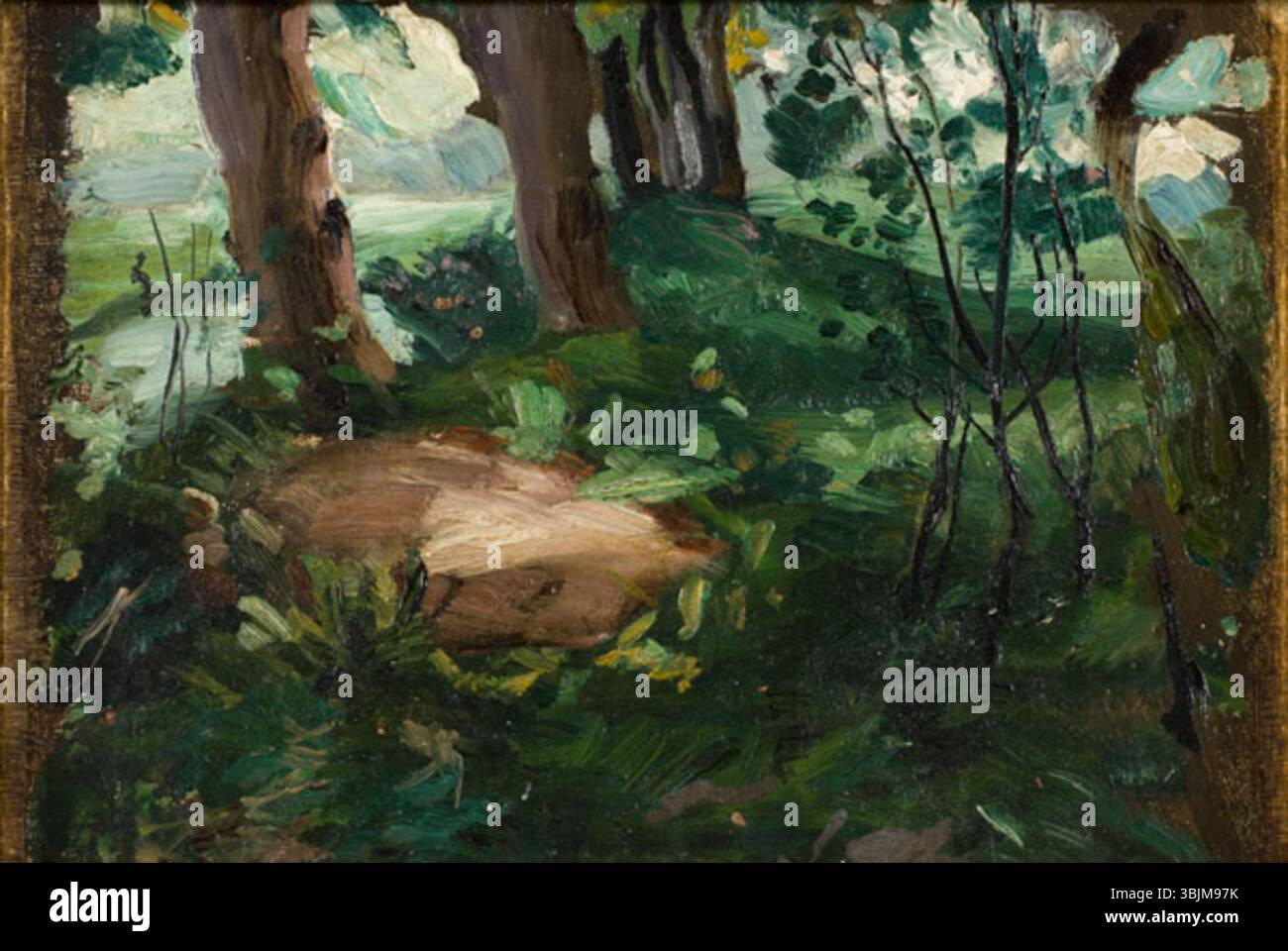 Study focuses on forest hi-res stock photography and images - Alamy