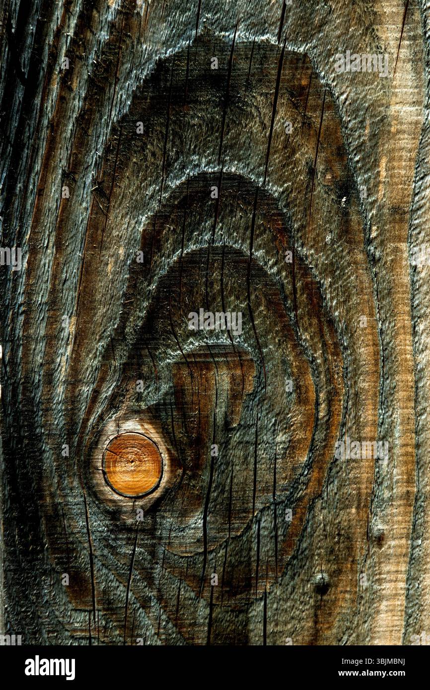 Detailed view of weathered wood reveals beautiful patterns and textures ...