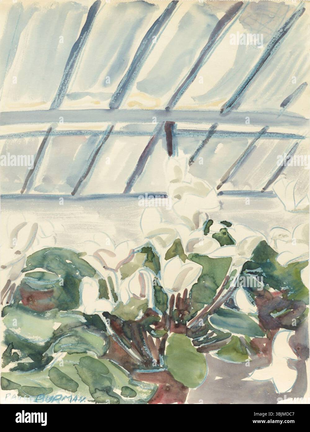 'Alpikannid' (Alpine Flowers) by Paul Burman is a watercolor painting ...