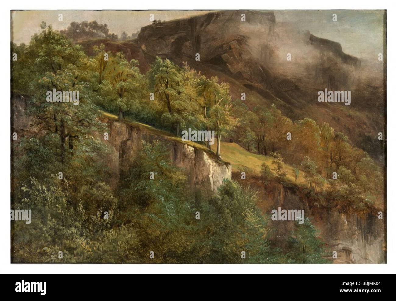 Towering beauty Cut Out Stock Images & Pictures - Alamy