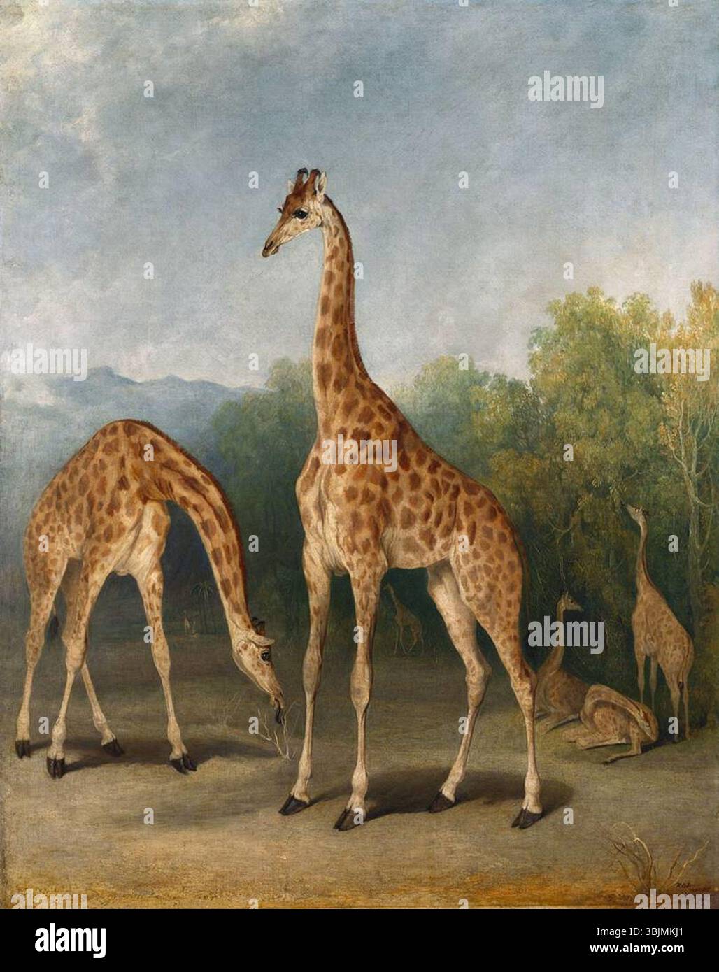 Painted by Richard Barrett Davis in 1827, 'The Nubian Giraffe' depicts ...