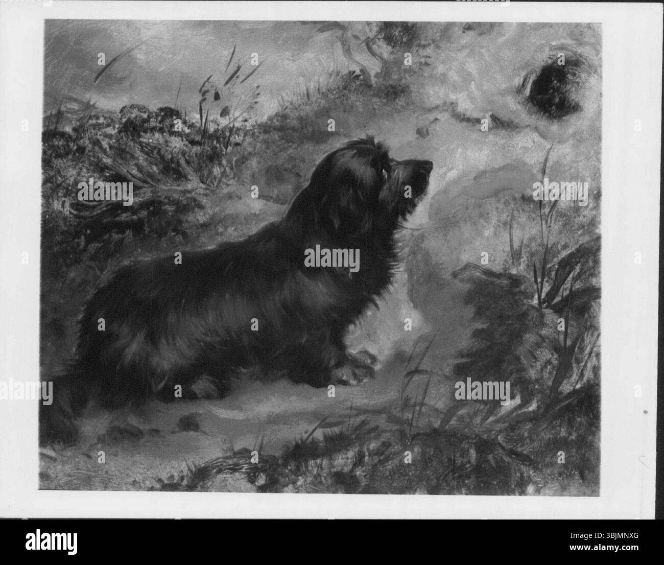 *'Dandie Dinmont'* by Thomas Musgrove Joy, painted in 1843, portrays ...