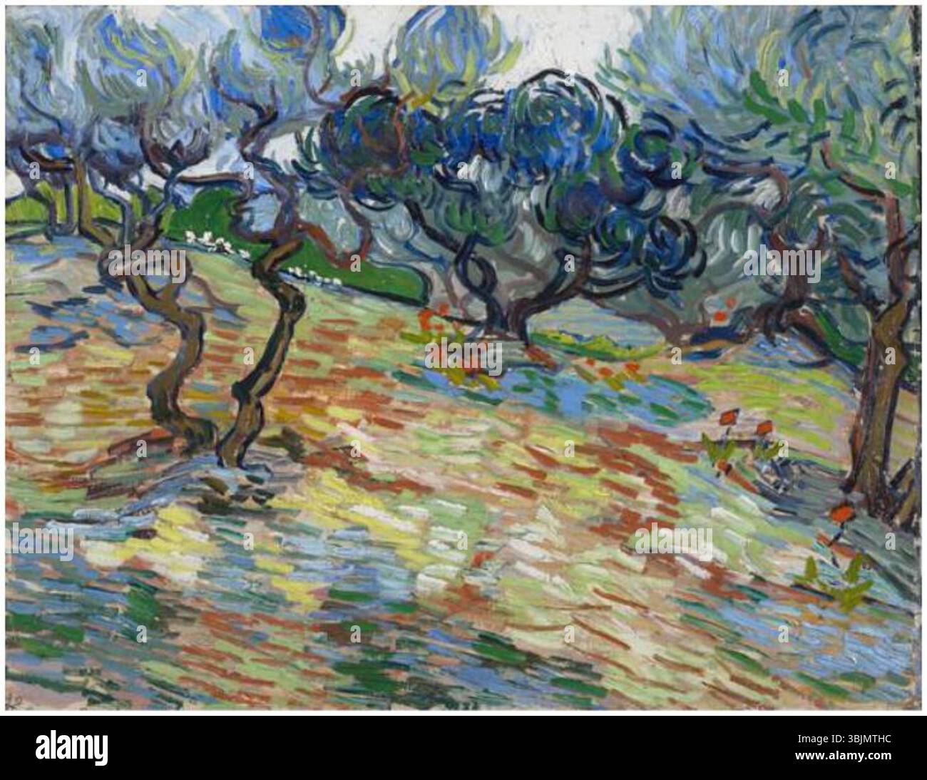 Vincent van Gogh's 'Olive Trees' (1889) is an oil painting depicting a ...
