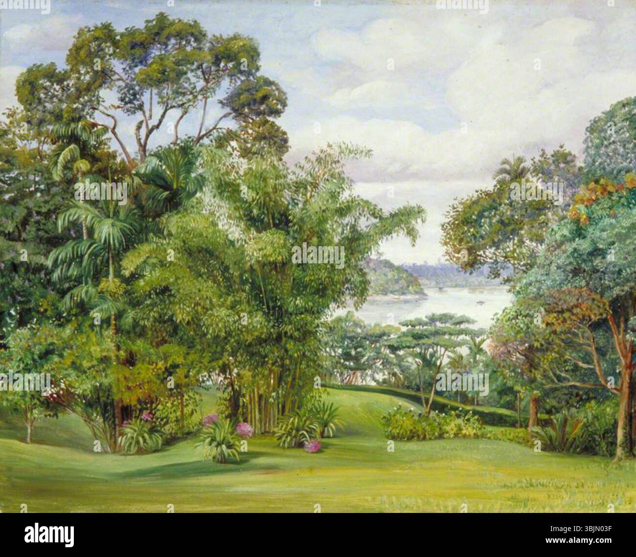 North, Marianne; View of the River from the Rajah's Garden, Sarawak ...