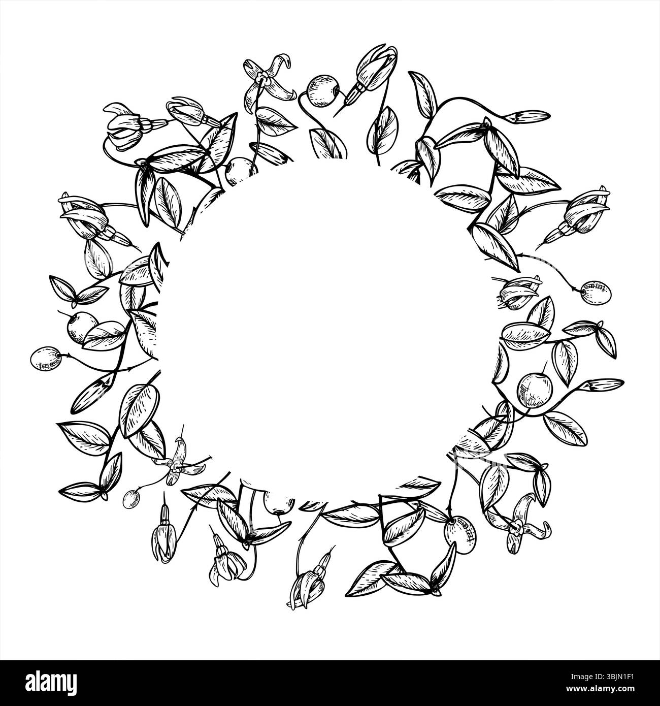 Empty food drink packaging Stock Vector Images - Alamy